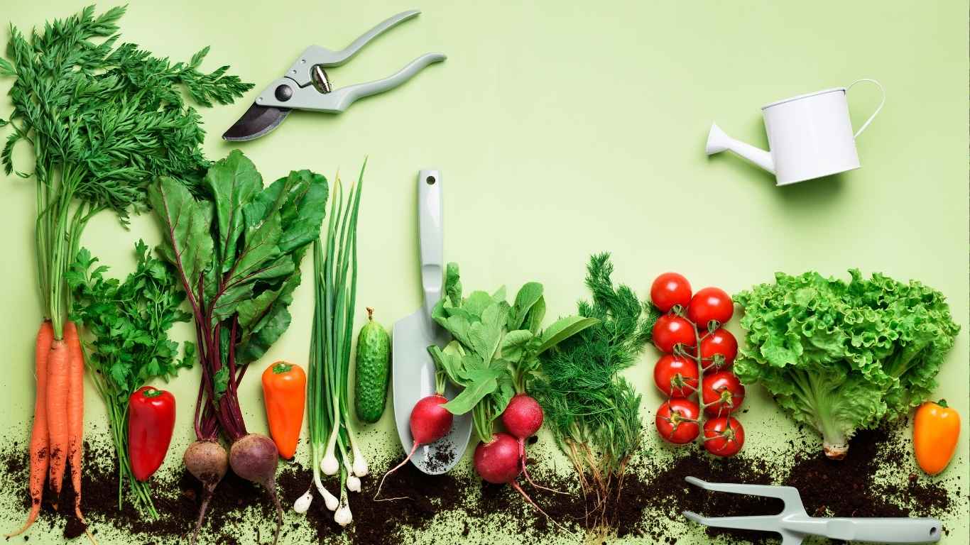 4 предимства при употребата на органично градинарство с етерични масла ...